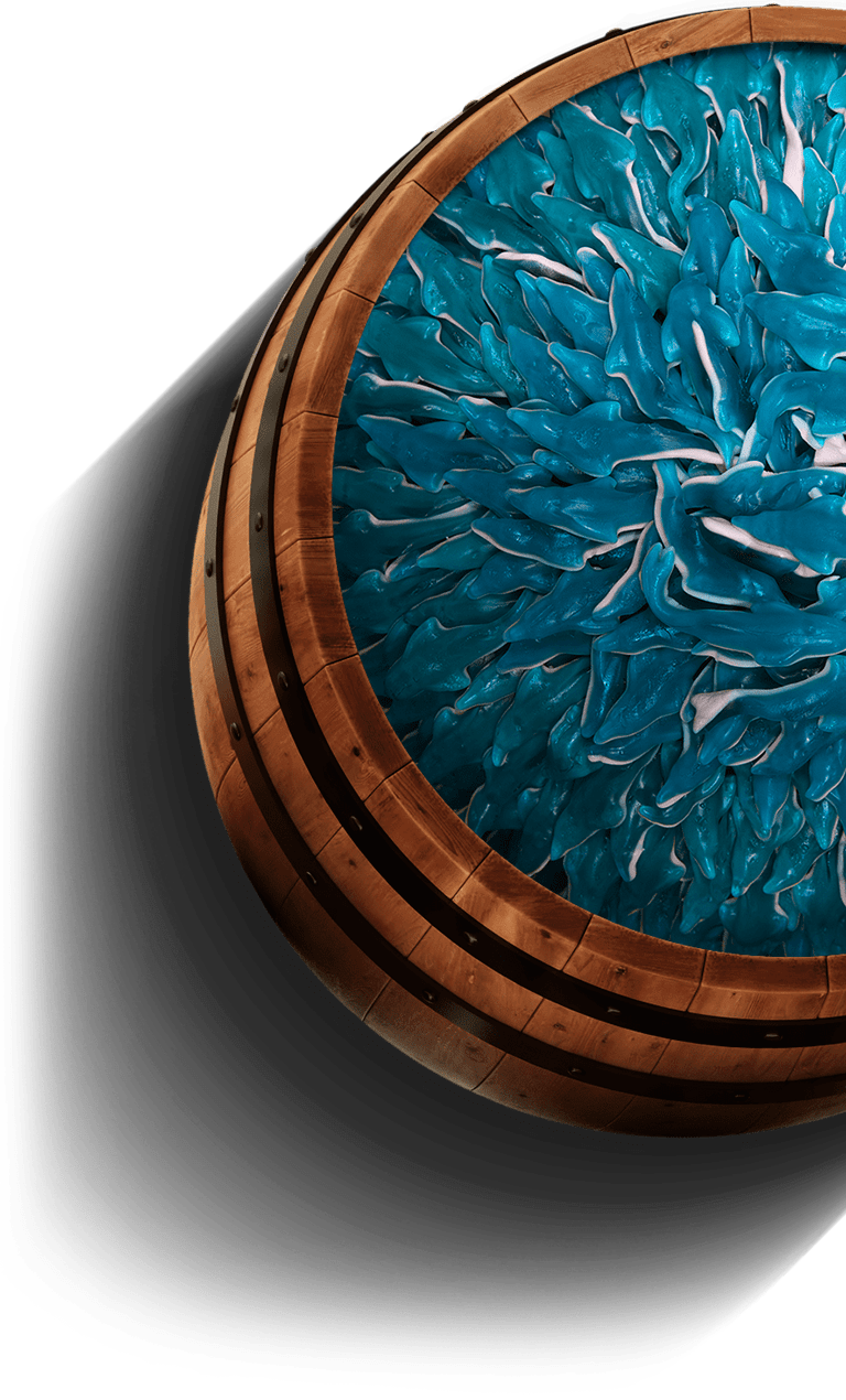 Candy Store Captain Candy | Captain Candy